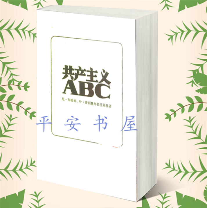共产主义 ABC（苏）尼·布哈林，叶·普列奥步拉任斯基著 1988.04