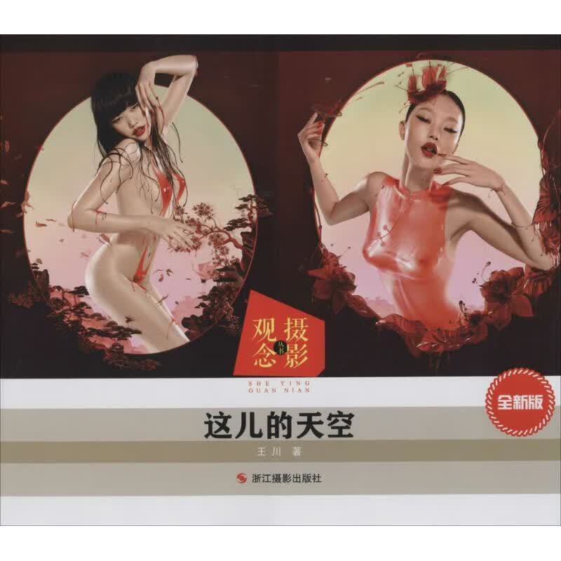 这儿的天空:全新版 王川 著