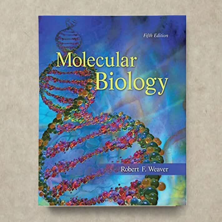 全彩现货/Molecular Biology 5th Edition 彩色纸质书