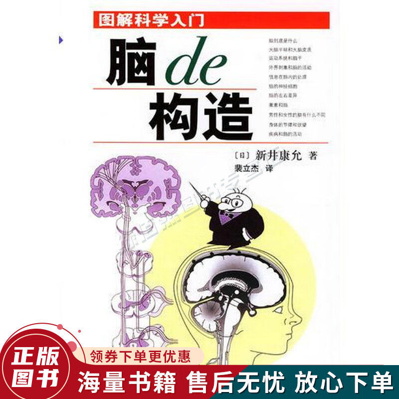 脑的构造