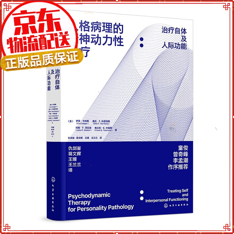 人格病理的精神动力性治疗：治疗自体及人际功能