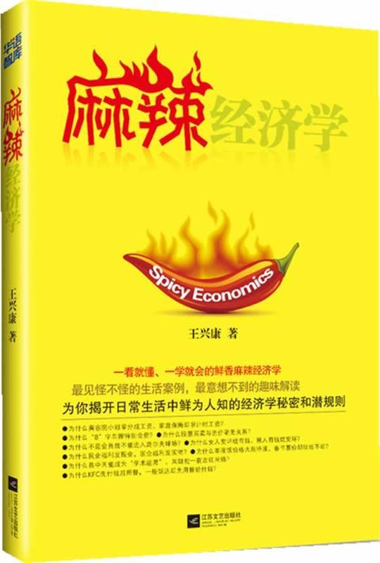 麻辣经济学 王兴康 著