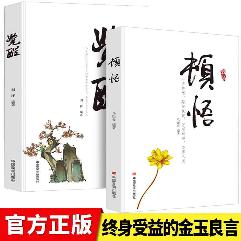 顿悟+觉醒 全2册身心灵修行课精神导师禅悟感受当下活出生命的意义