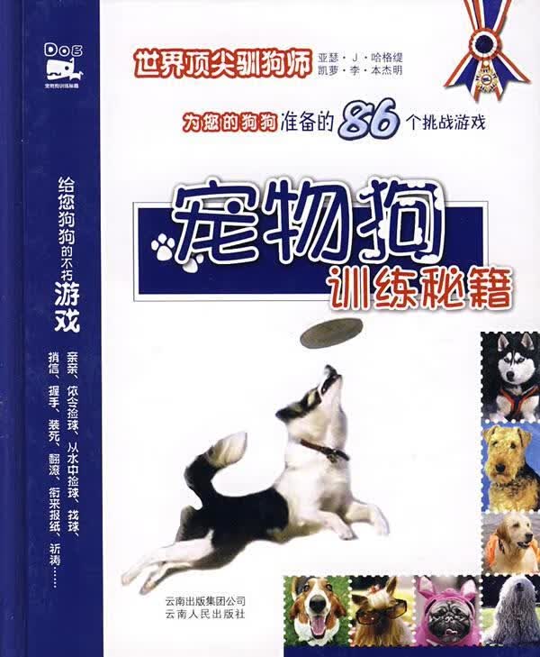 宠物狗训练秘籍