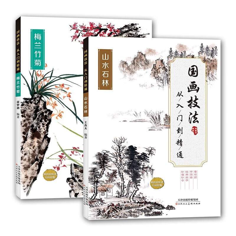 国画技法从入门到精通全套四册 梅兰竹菊花鸟鱼虫山水石林四季百花基础美术绘画少儿成人零基础教程书 山水石林+梅兰竹菊