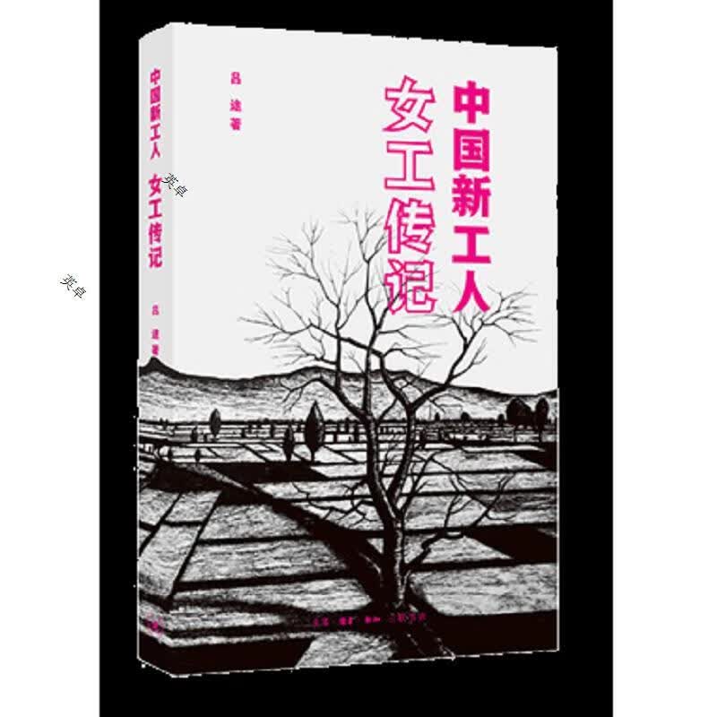 中国新工人：女工传记