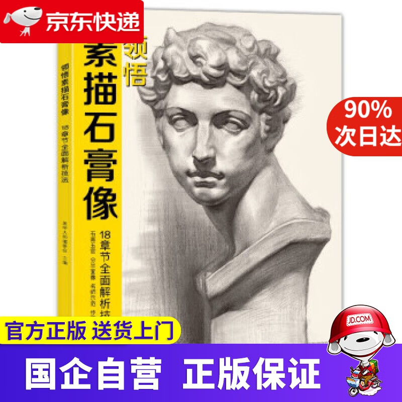 领悟素描石膏像