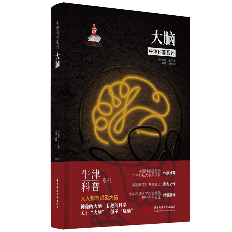 大脑 图书
