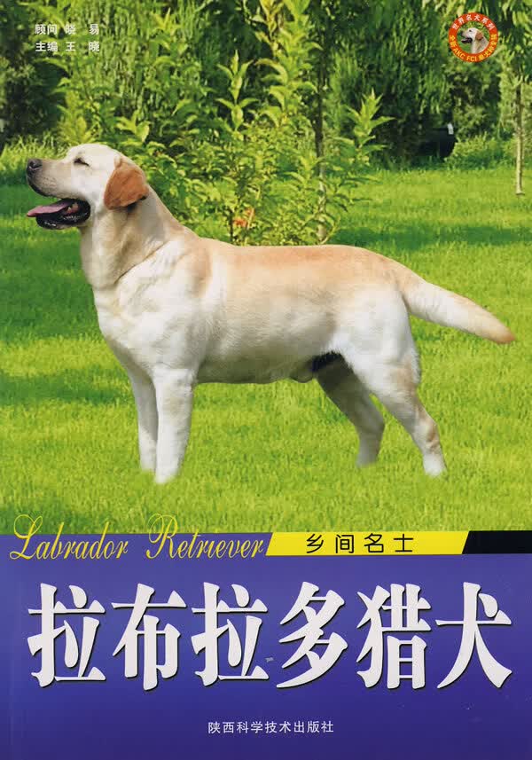 乡间名士 拉布拉多猎犬【好书】