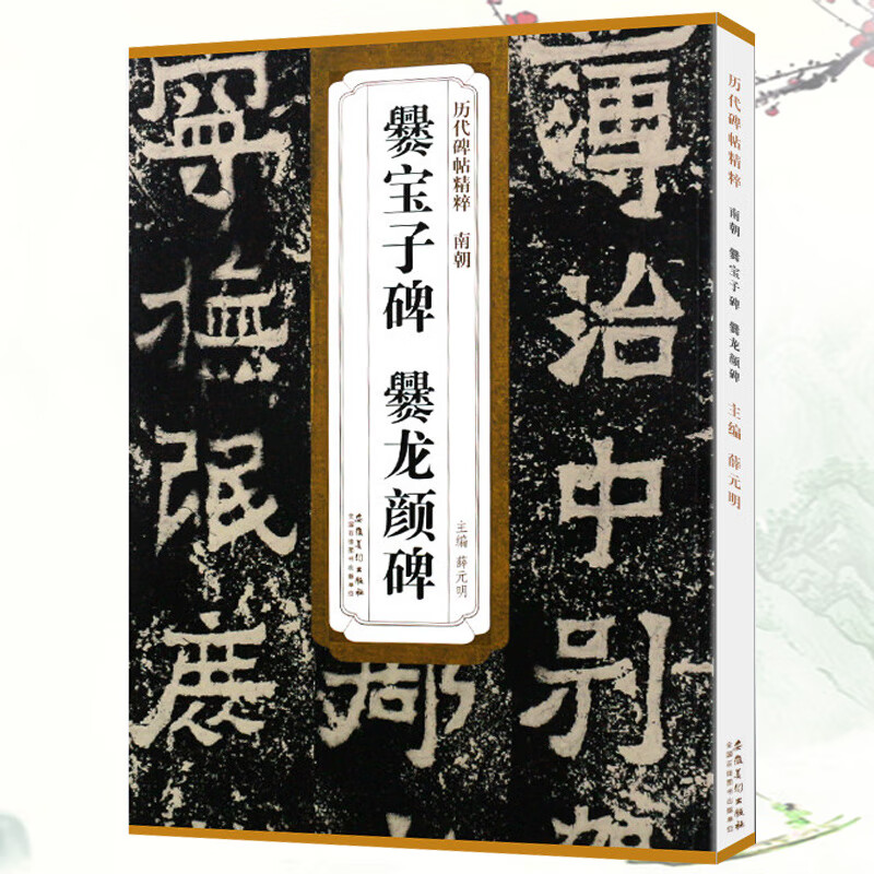 南朝爨宝子碑爨龙颜碑历代碑帖精粹薛明编简体旁注附释文隶书原大碑帖技法解析楷书毛笔字帖古帖学生练字临摹