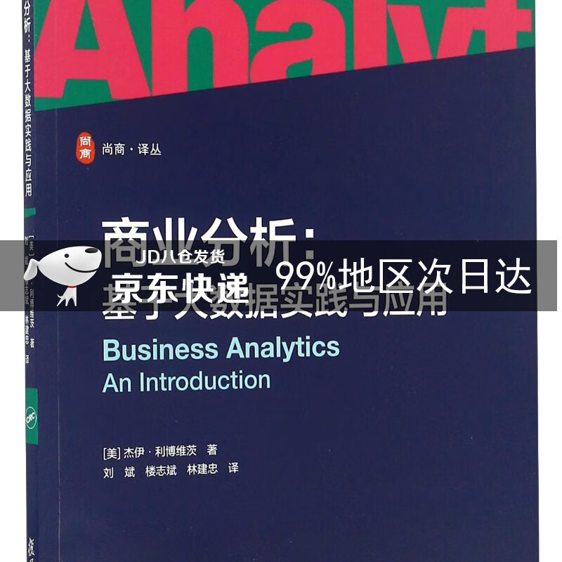 商业分析：基于大数据实践与应用
