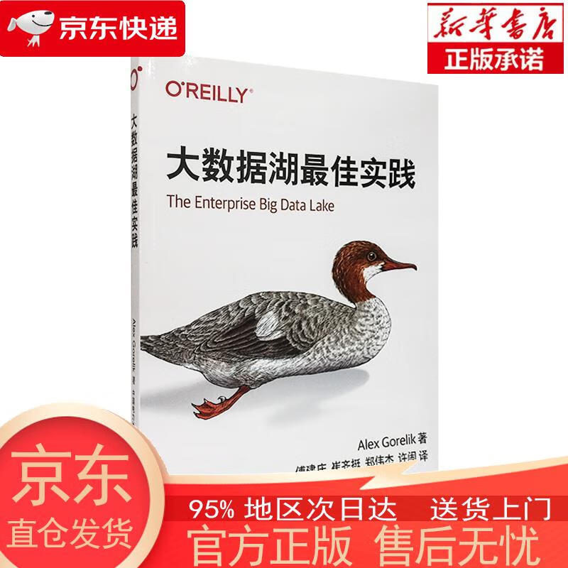 大数据湖佳实践 Alex,Gorelik 中国电力出版社