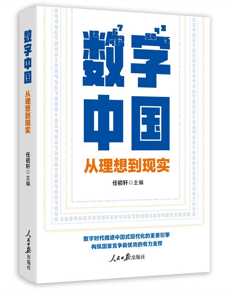 数字中国：从理想到现实