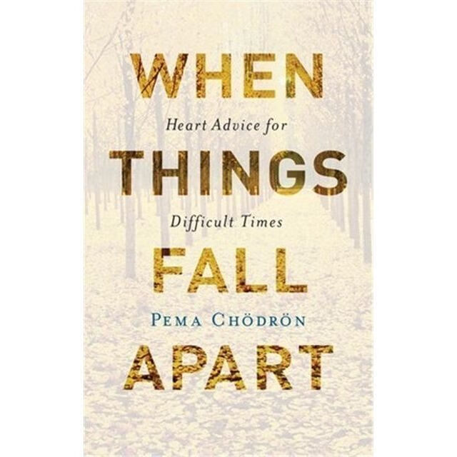 现货When Things Fall Apart by Pema Chodron纸质版英文