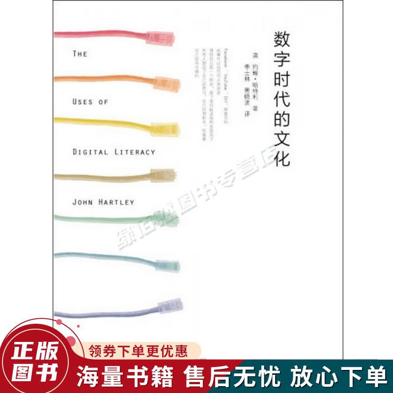 数字时代的文化