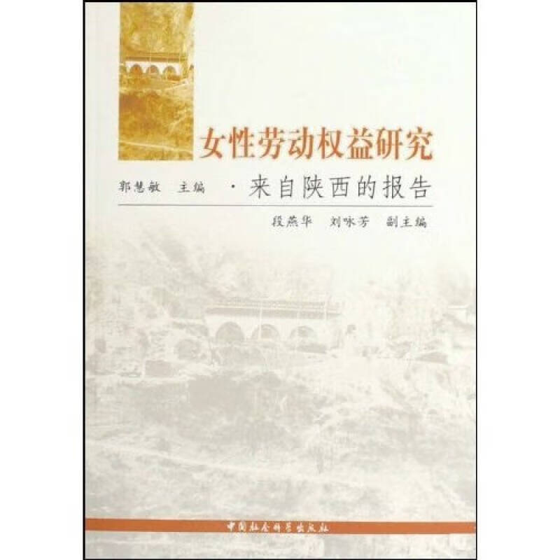 女性劳动权益研究 来自陕西的报告【好书】