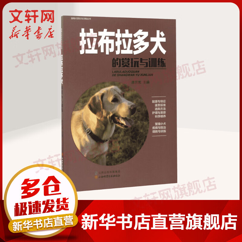 拉布拉多犬的赏玩与训练