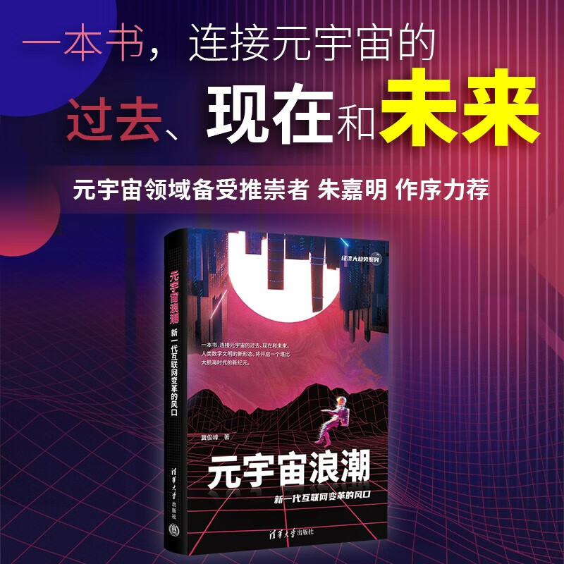 元宇宙浪潮 新一代互联网变革的风口 冀俊峰 著 经济