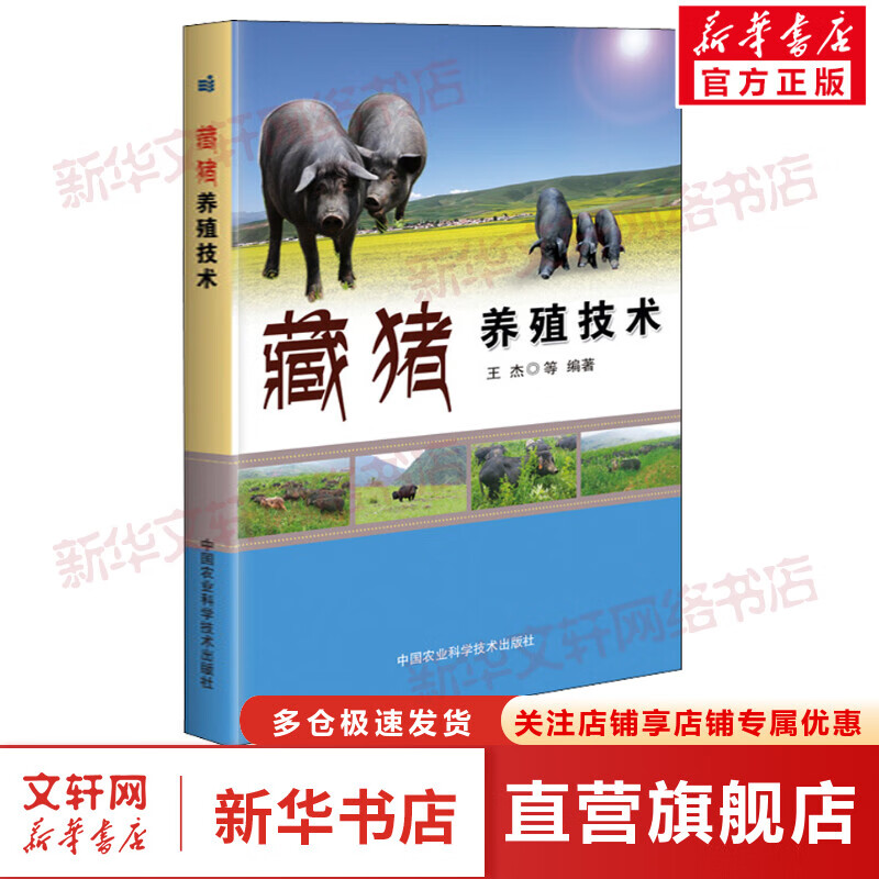 藏猪养殖技术