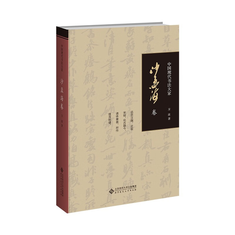 中国现代书法大家·沙孟海 卷