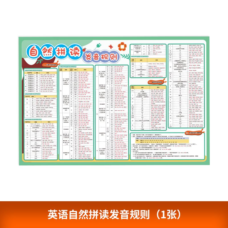 小升初分类基础核心单词大全挂图纸 小学通用版自然拼读挂图