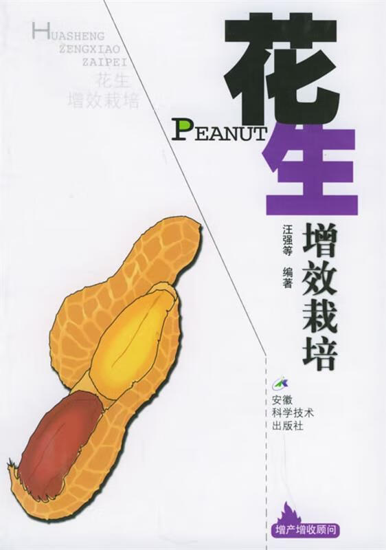花生增效栽培