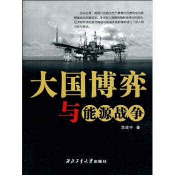 大国博弈与能源战争 李建中