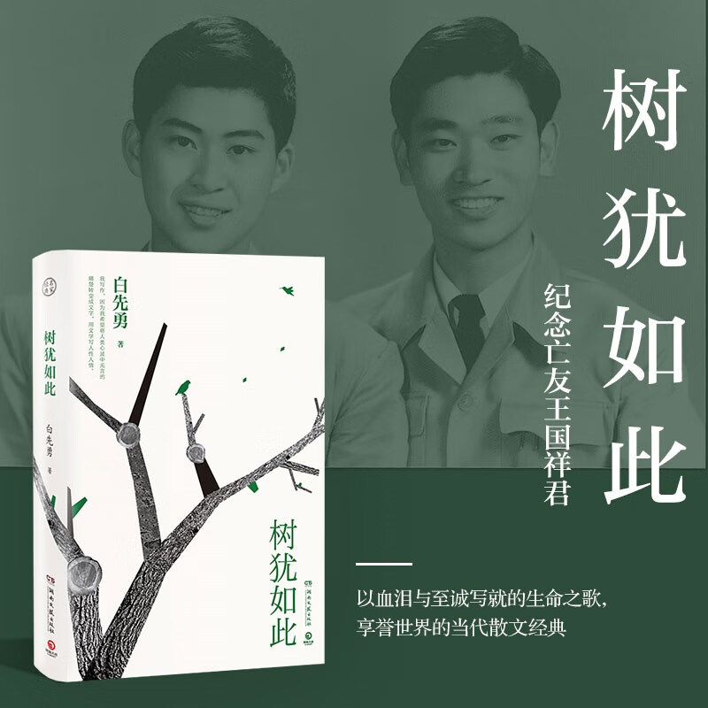 树犹如此（2022精装珍藏版，白先勇亲定选本）