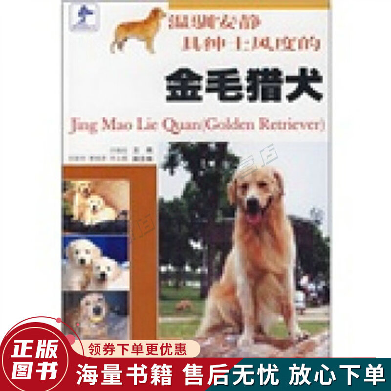 金毛猎犬