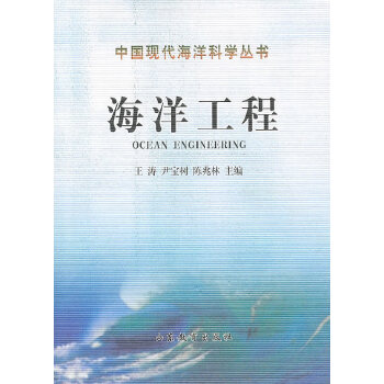 海洋工程 王涛等