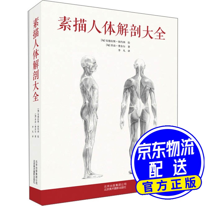 素描人体解剖大全