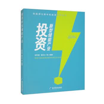 【现货】投资新型储能产业 胡宇晨,龚芷以 经济管理出版社