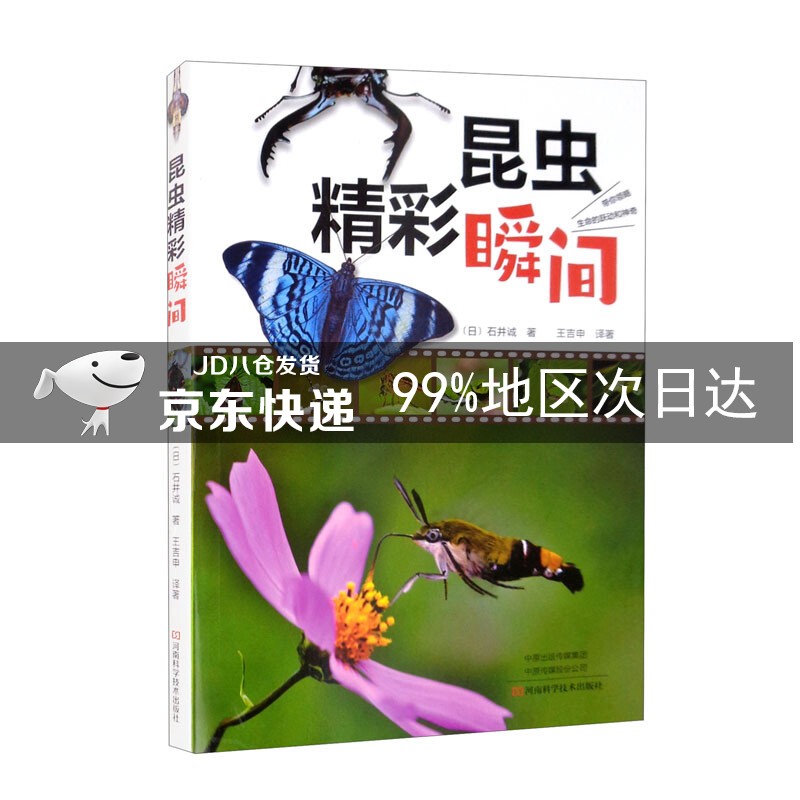 昆虫精彩瞬间