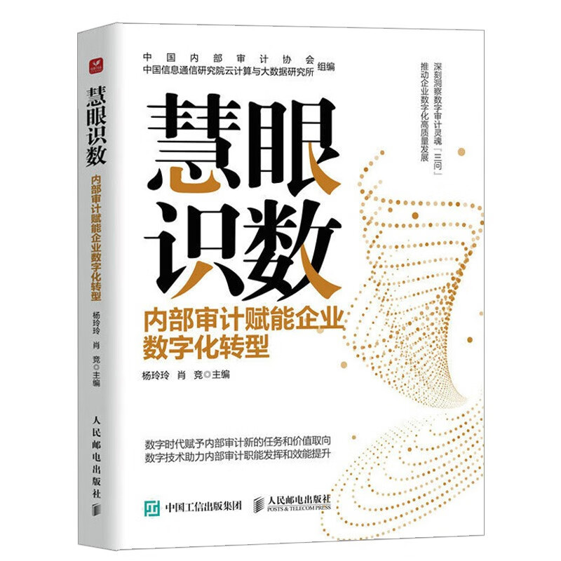 慧眼识数 内部审计赋能企业数字化转型 杨玲玲 肖竞 主编 人民邮电出版社