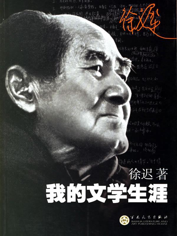 我的文学生涯