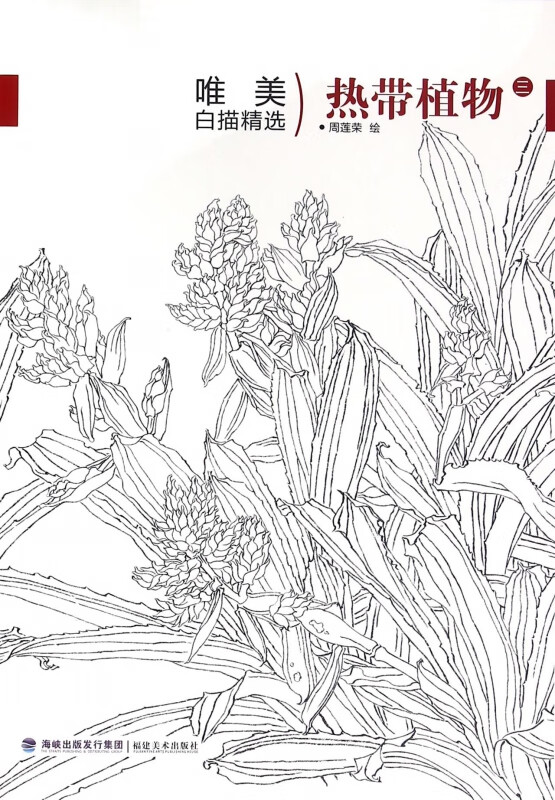 热带植物(3)/唯美白描精选