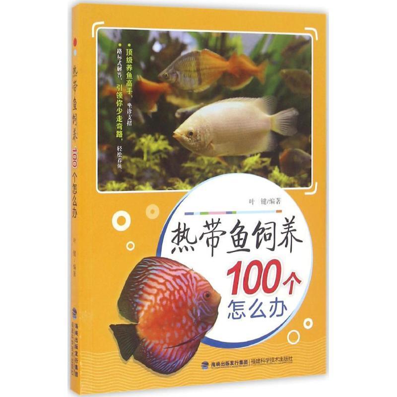 热带鱼饲养100个怎么办 叶键 著