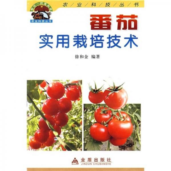 茄实用栽培技术