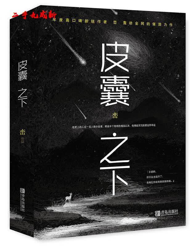 皮囊之下 青岛出版社 9787555248088