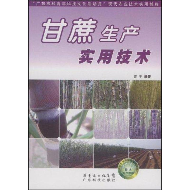 甘蔗生产实用技术