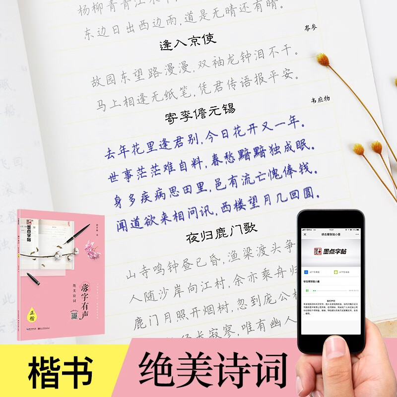 墨点字帖新版字帖练字成年男女生字体漂亮大气散文练习字帖练字大学生高中生硬笔书法练字本荆霄鹏楷书钢笔字帖练字专用正楷临摹练字帖 绝美诗句-正楷