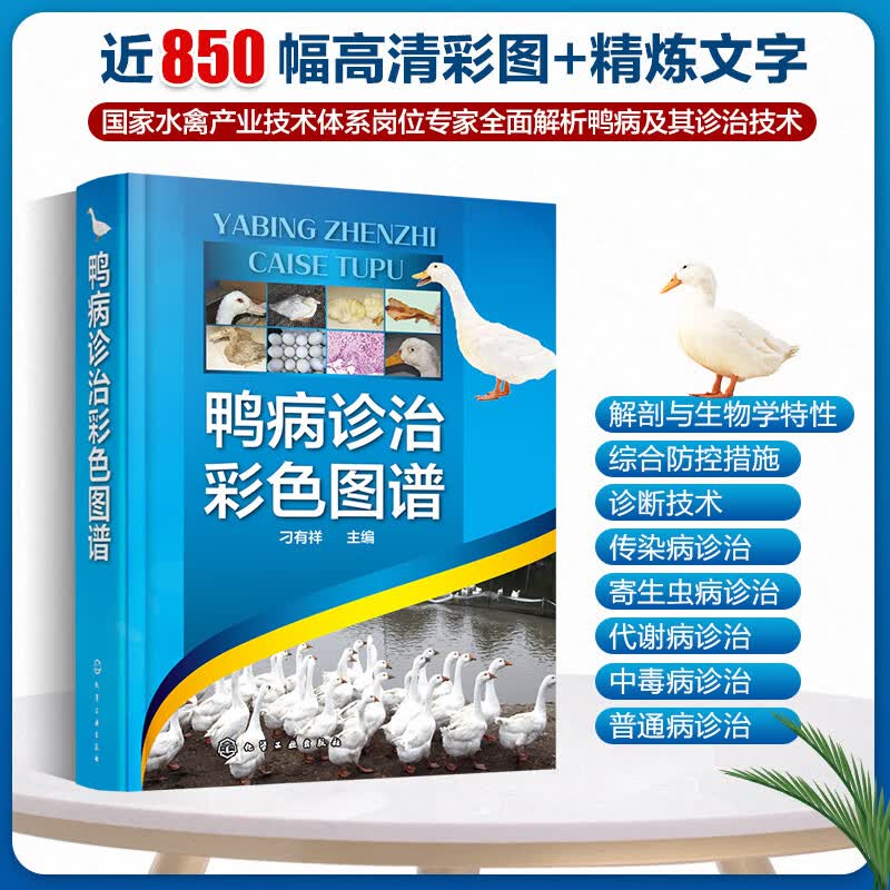 鸭病诊治彩色图谱 鸭病诊断防治及类似疾病鉴别实用指导书 鸭病治疗诊断书籍 鸭病预防书籍 兽医应用书籍
