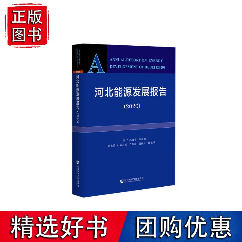 河北能源发展报告2020