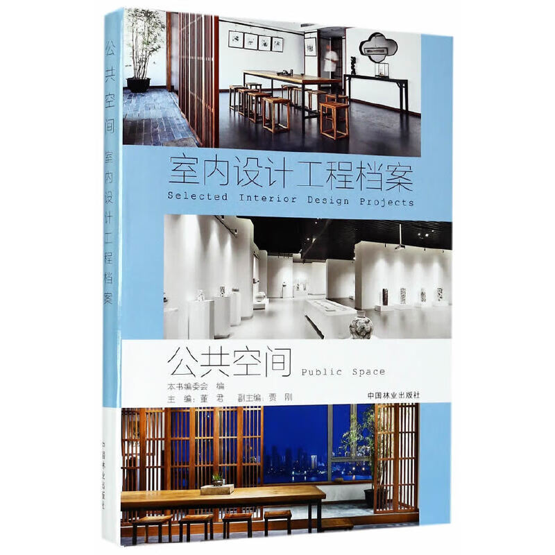 公共空间(精)/室内设计工程档案