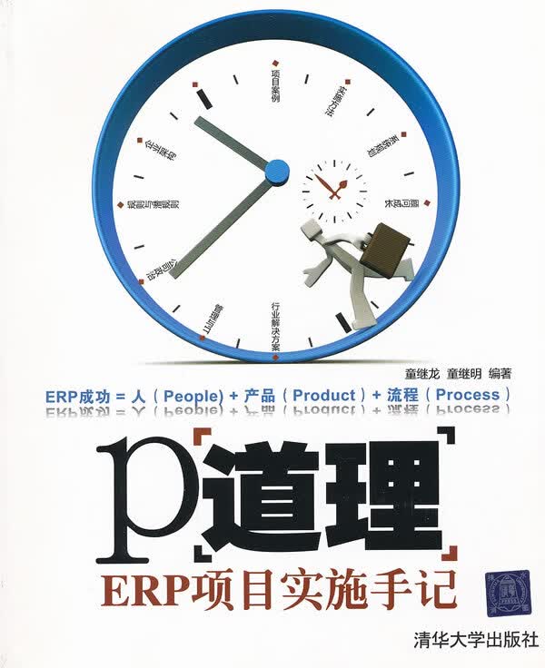 P道理:ERP项目实施手记