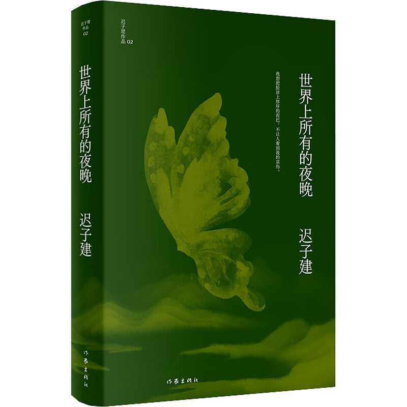 世界上所有的夜晚 迟子建  书籍
