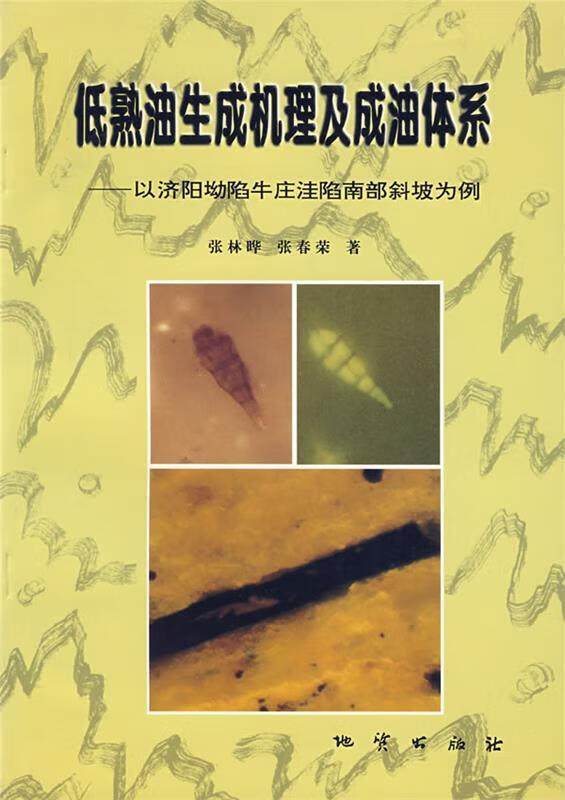 低熟油生成机理及成油体系