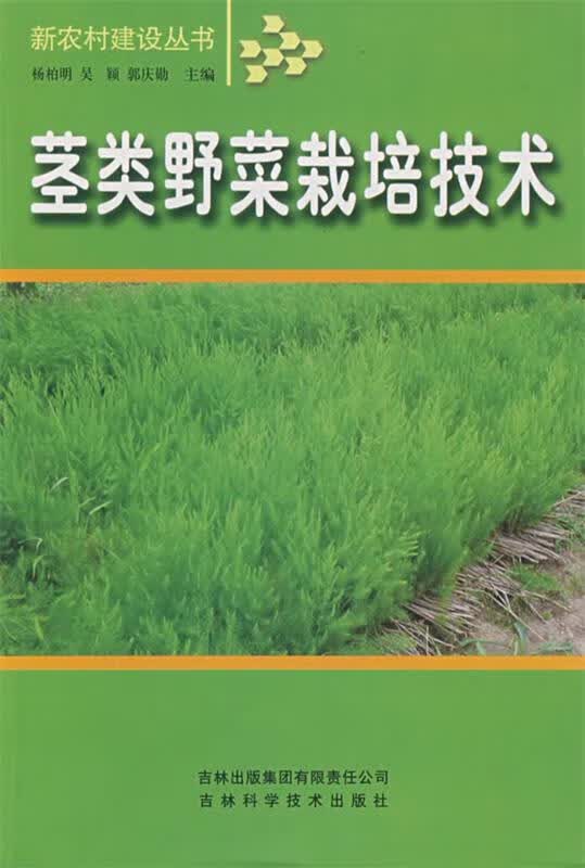 茎类野菜栽培技术