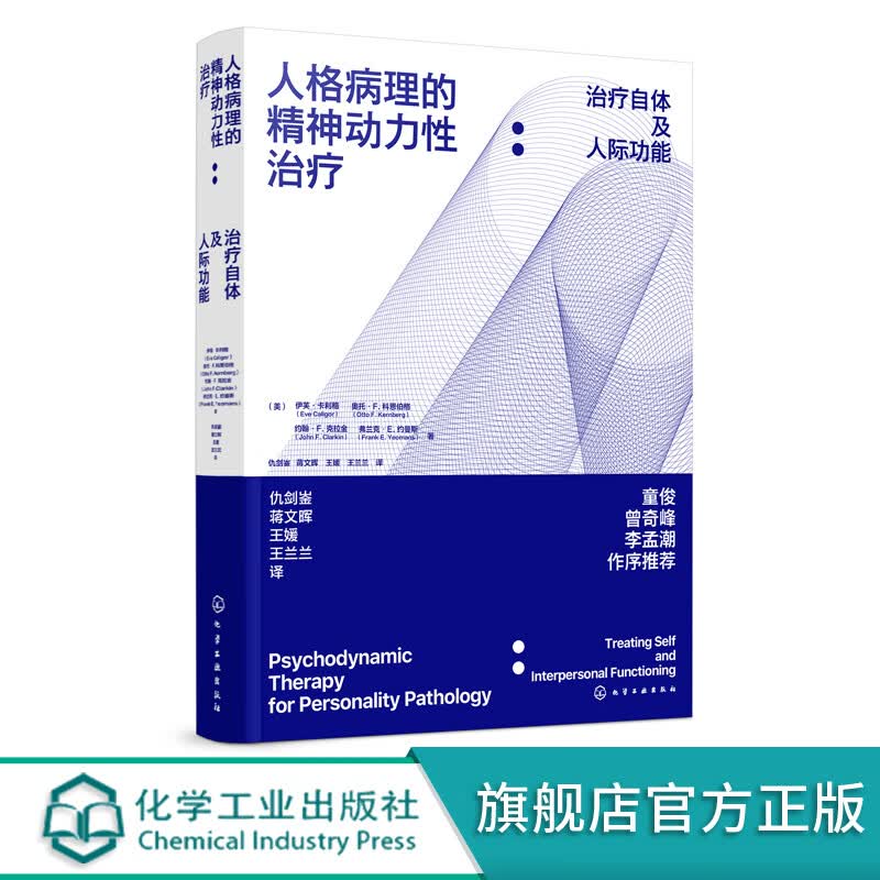 人格病理的精神动力性治疗：治疗自体及人际功能
