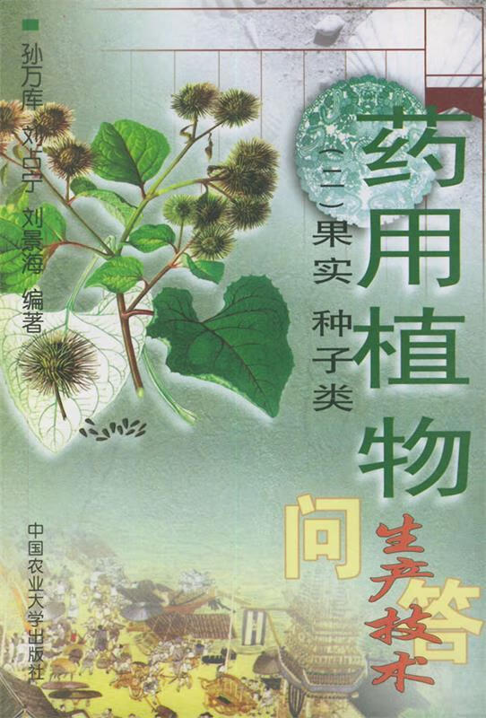 药用植物生产技术问答果实种子类